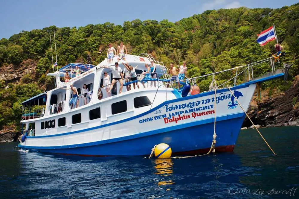 MV Dolphin Queen Liveaboard - Bluewater Dive Travel