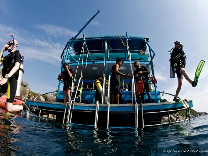 MV Dolphin Queen Liveaboard - Bluewater Dive Travel