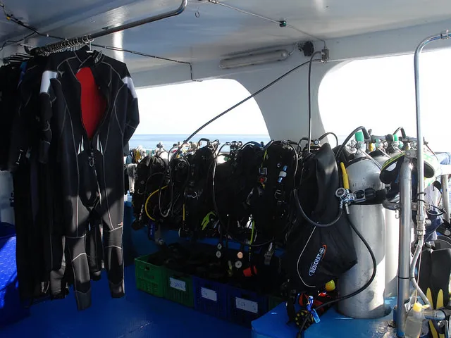 MV Dolphin Queen Liveaboard - Bluewater Dive Travel