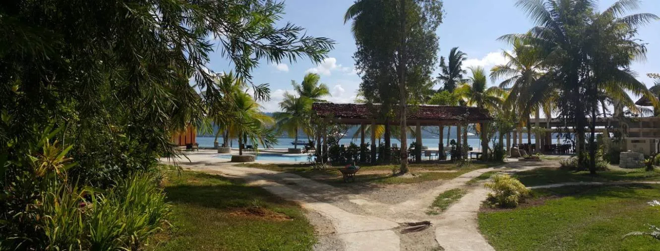 Dive Into Ambon @ Maluku Resort and Spa - Bluewater Dive Travel