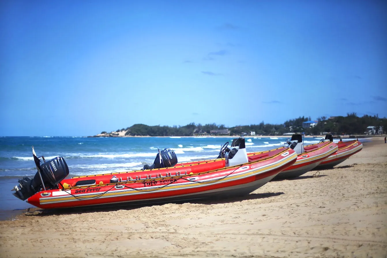 Tofo Scuba & Tilak Lodge - Bluewater Dive Travel