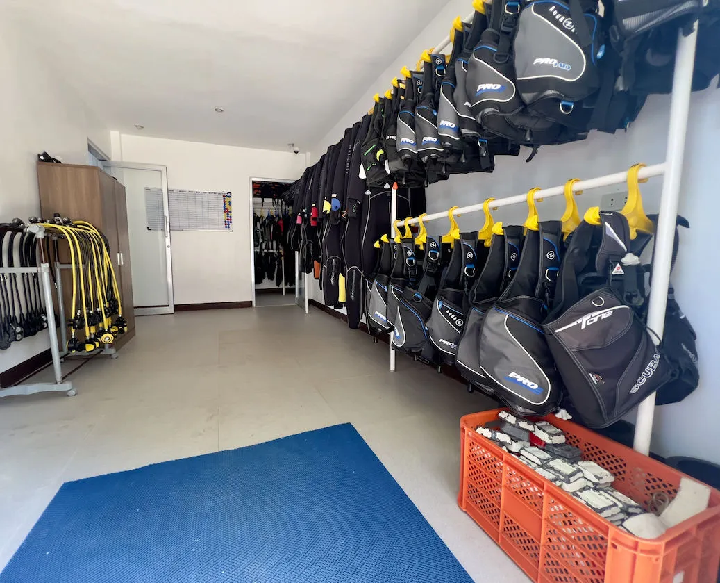 Cabilao Sanctuary Beach & Dive Resort - Bluewater Dive Travel