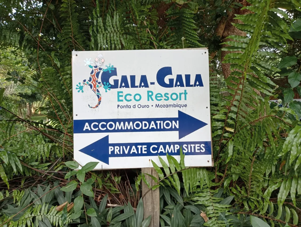Gala-Gala Eco Resort - Bluewater Dive Travel